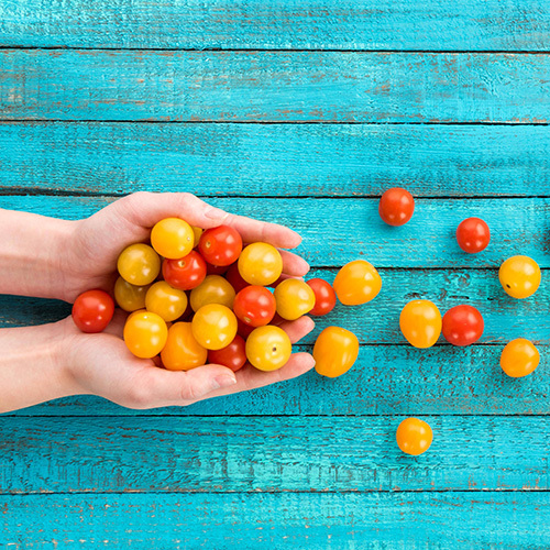 stock photos, editorial and creative images | imago images photo collection