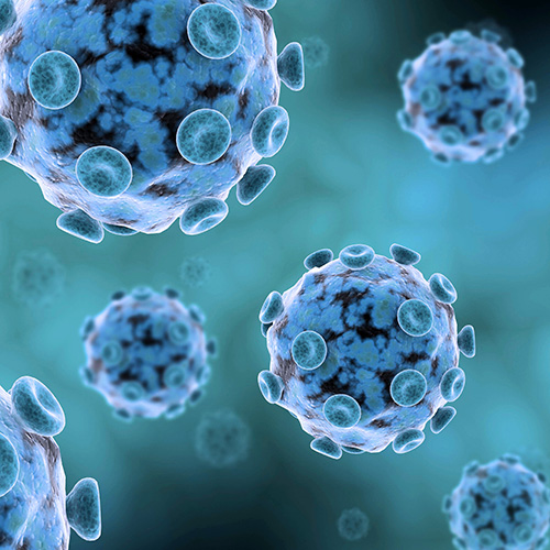 stock photos, editorial and creative images | imago images photo collection